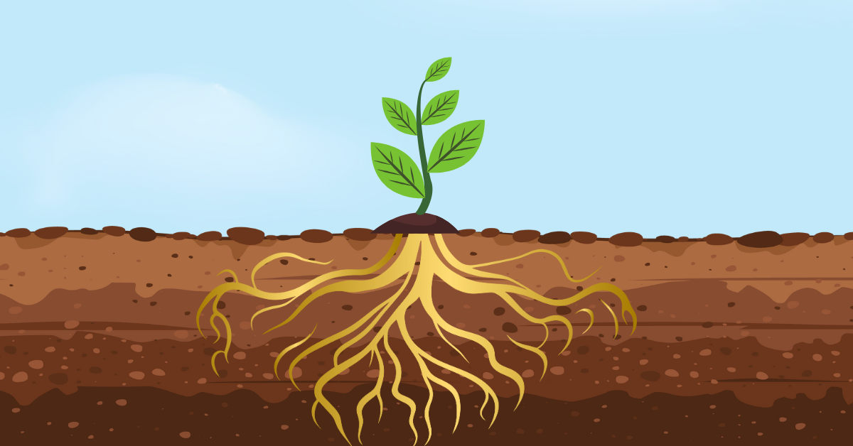 Episode 420 - The Pain of Slow Growth - John Henny Vocal Studio